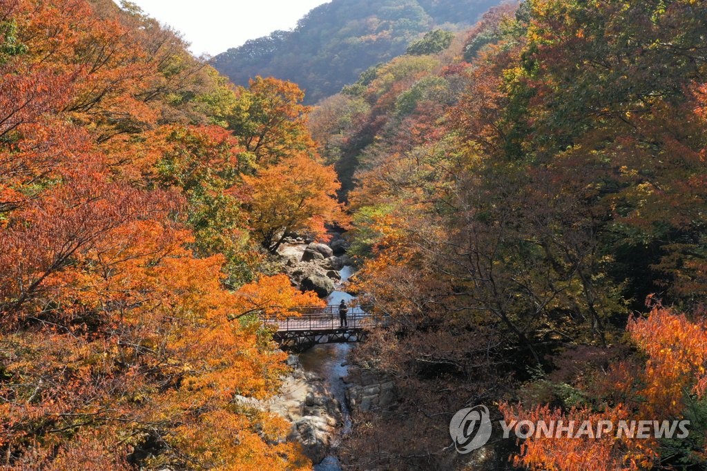 지리산 피아골 단풍산행 | 연합뉴스