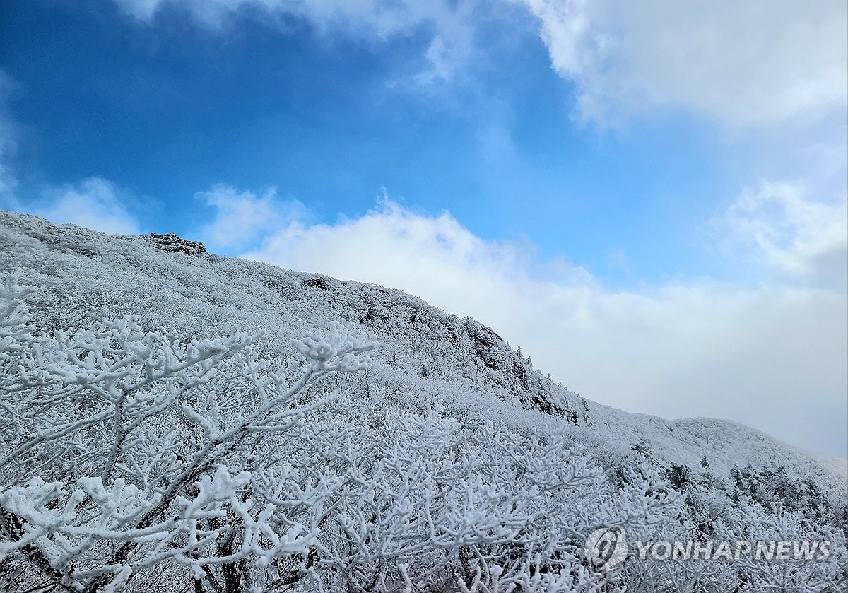 파란 하늘 아래 설경 펼쳐진 지리산 노고단 | 연합뉴스